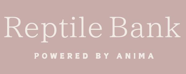 お知らせ | Reptile Bank